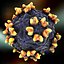 3d Human Rhinovirus