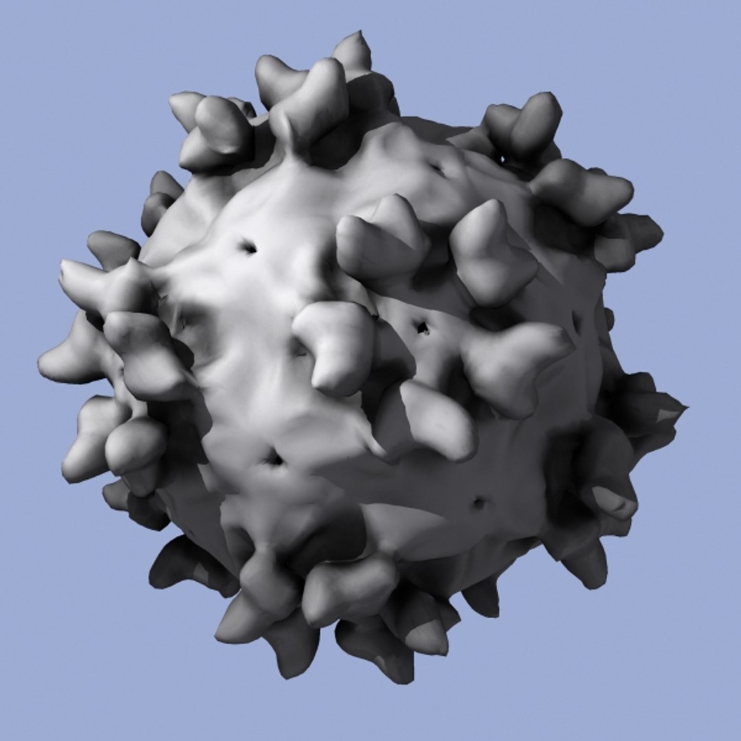 3d Human Rhinovirus