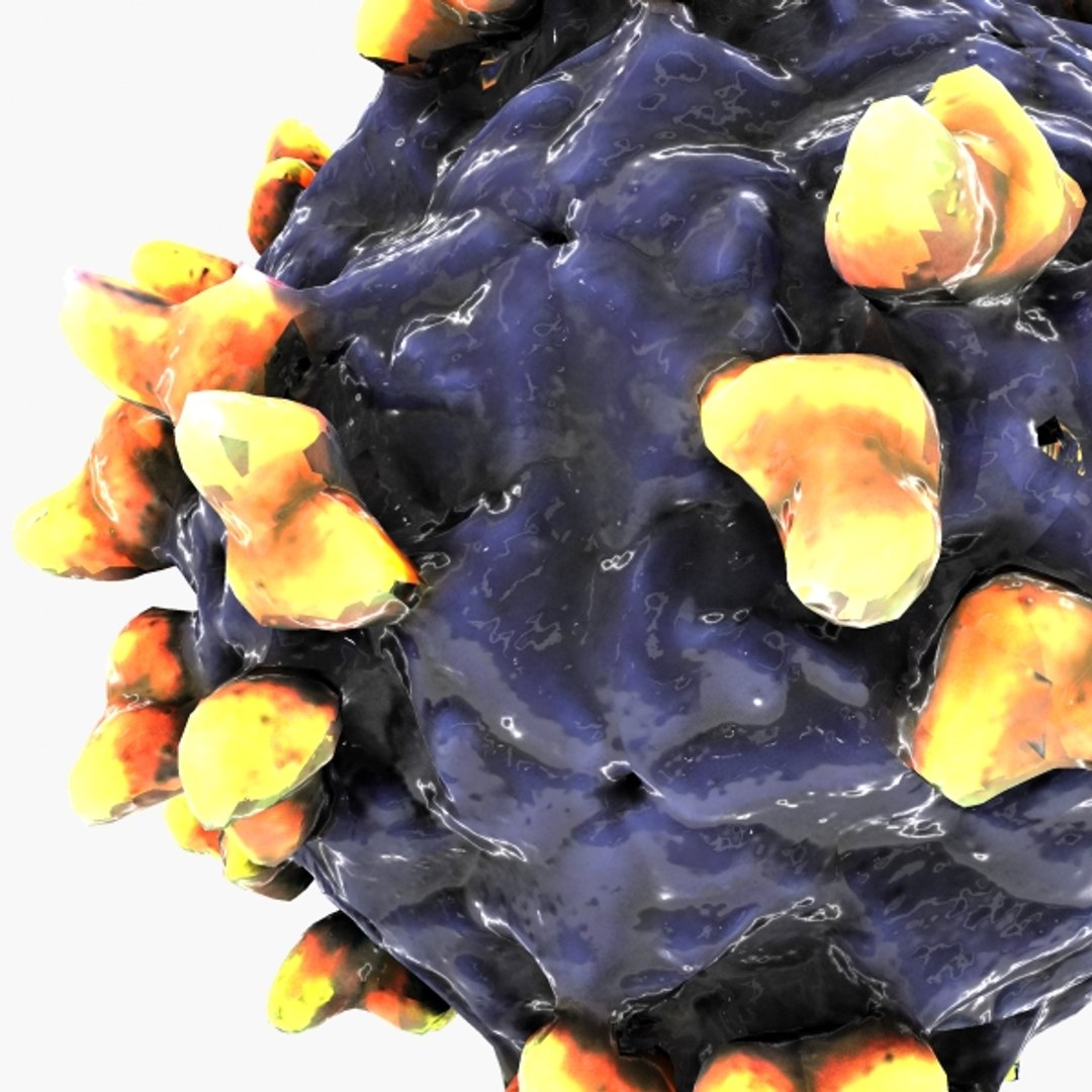 3d Human Rhinovirus