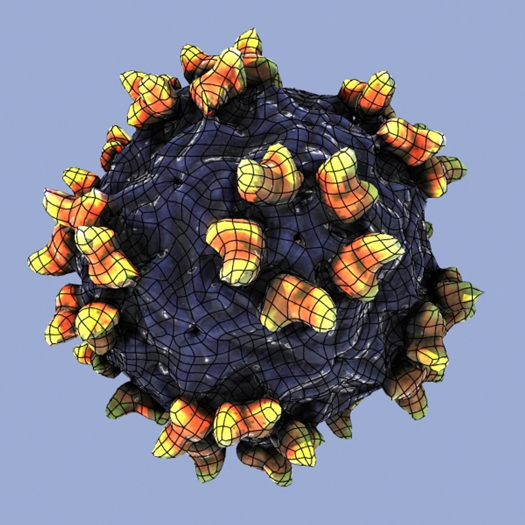 3d Human Rhinovirus