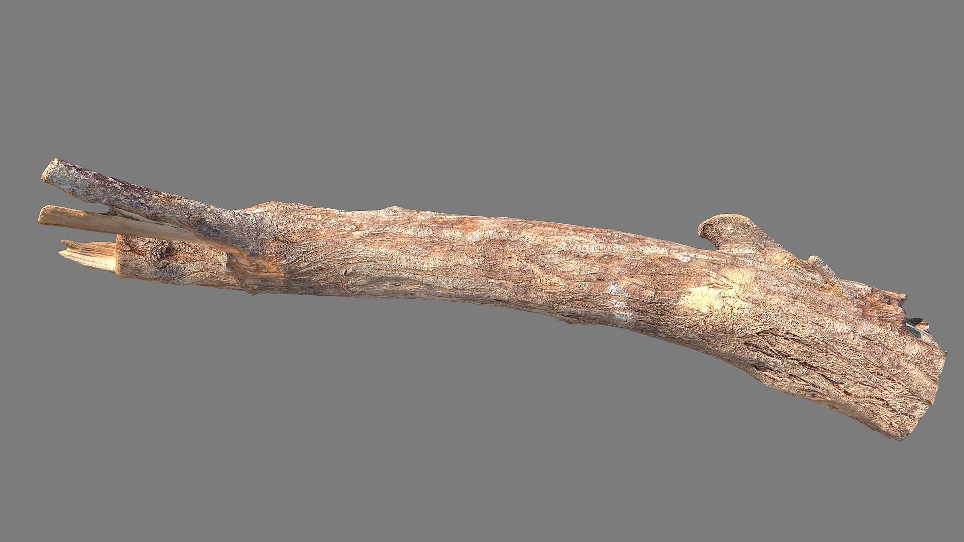 Twig Scanned 28 3D Model - TurboSquid 2088509