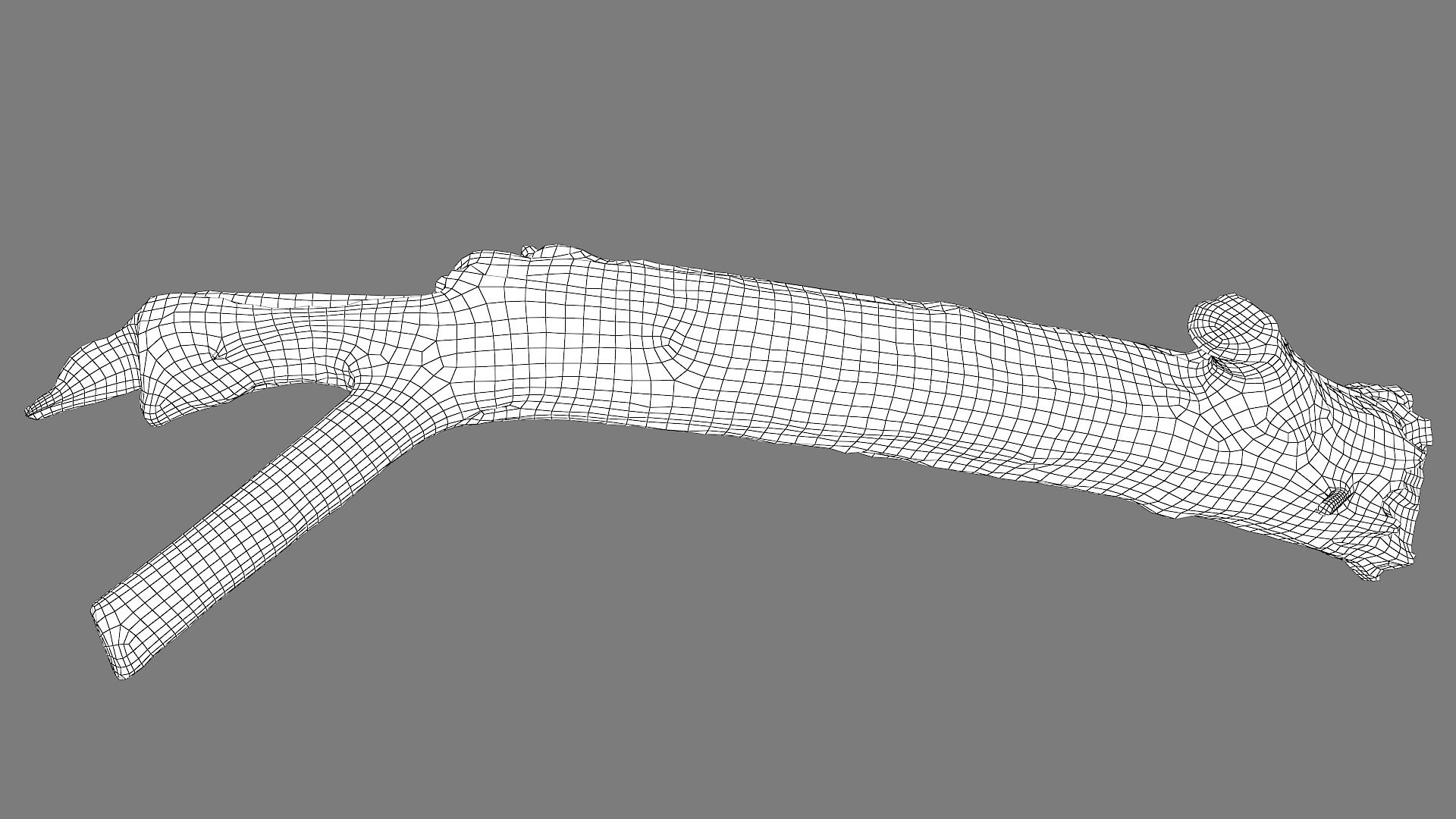 Twig Scanned 28 3D Model - TurboSquid 2088509