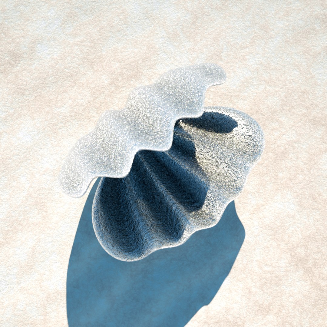 3d Model Clam Shell