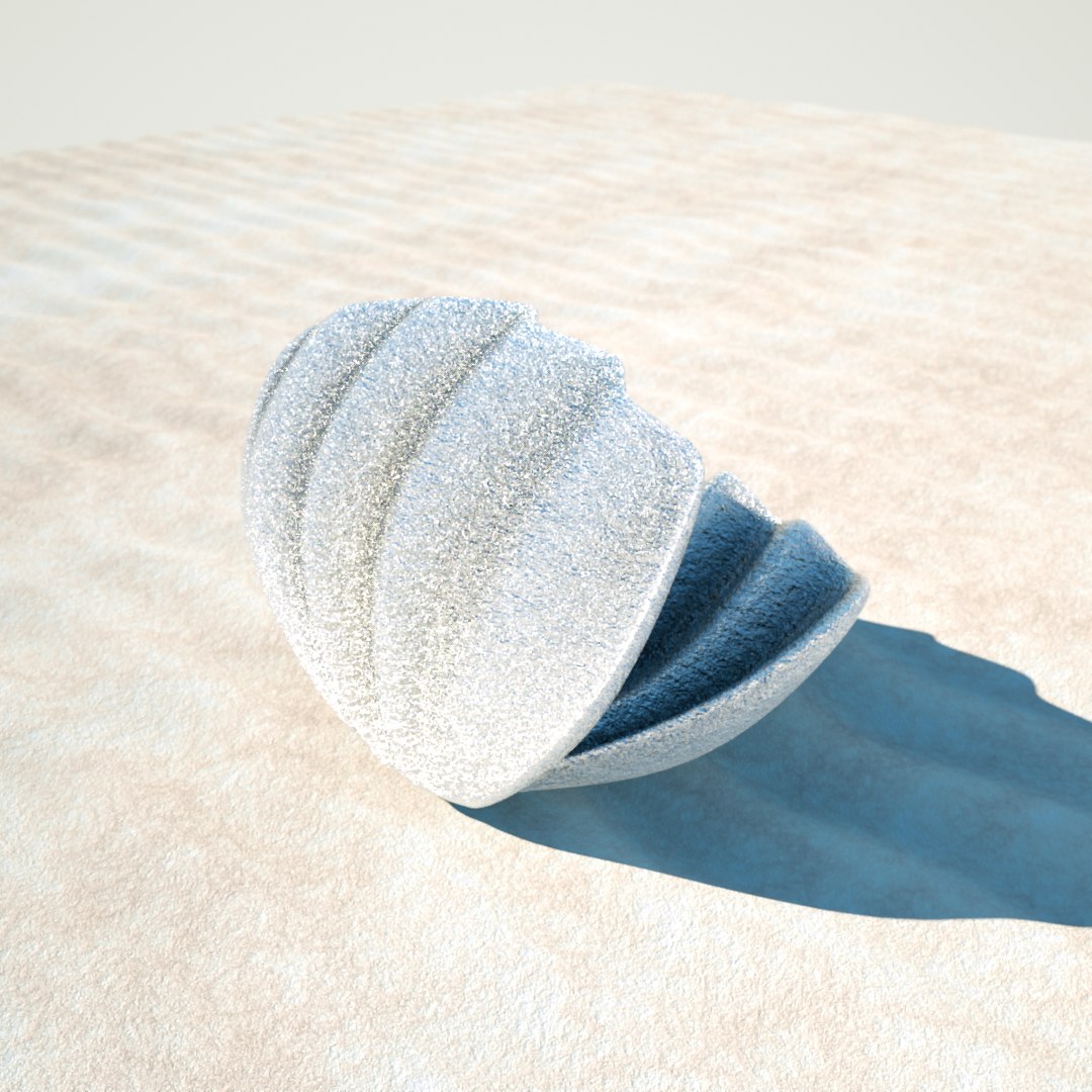 3d Model Clam Shell