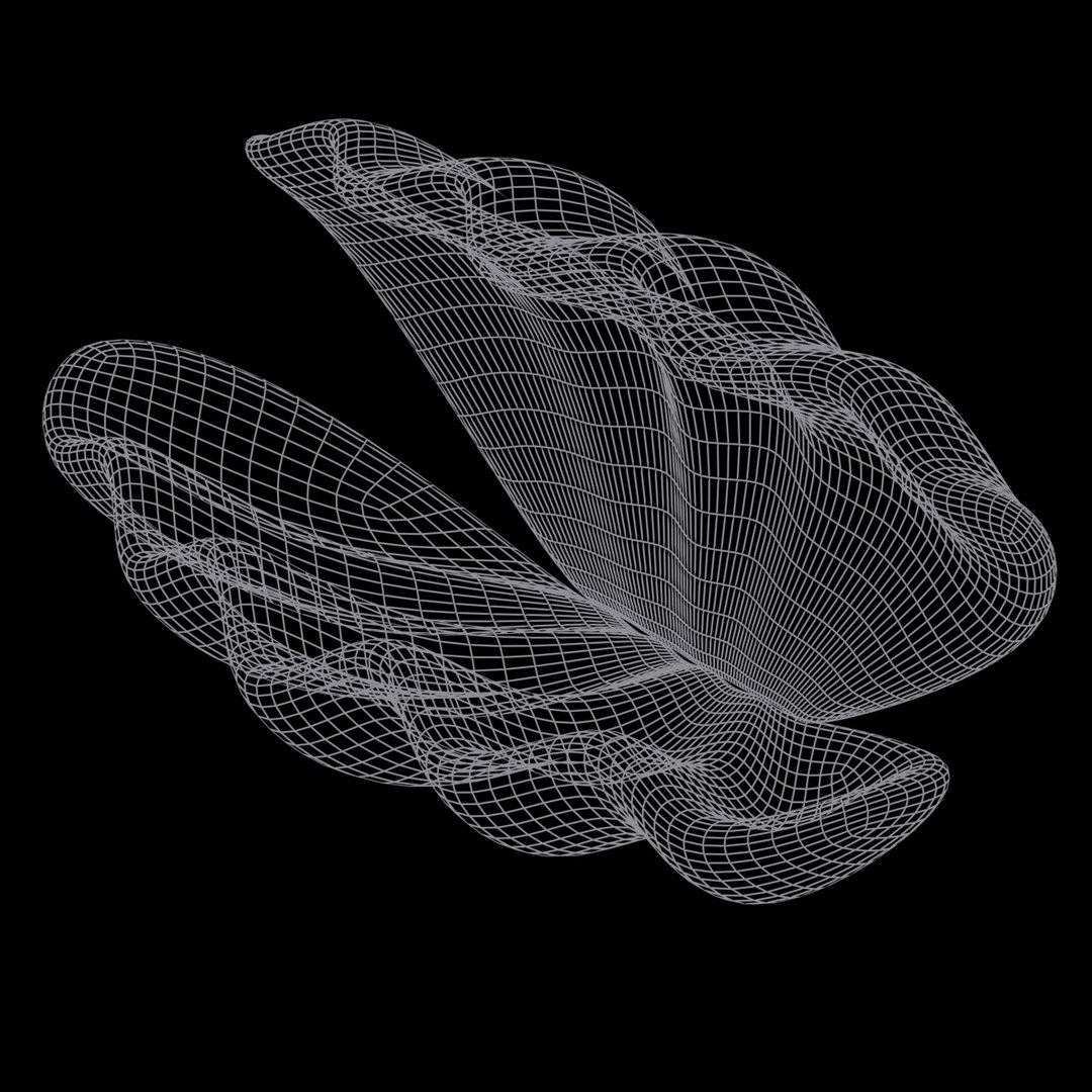 3d Model Clam Shell