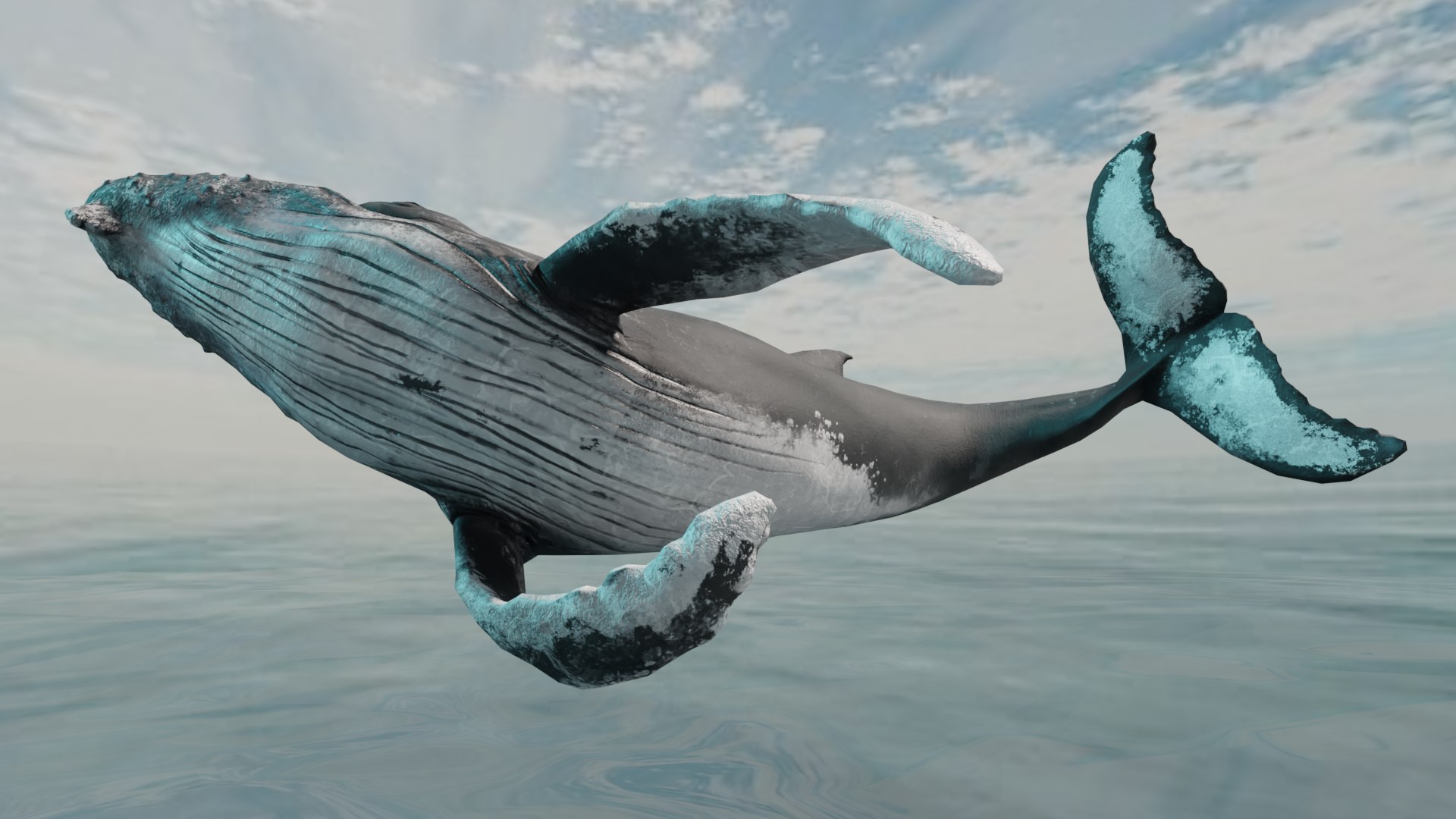 Humpback Whale Animated RE Model - TurboSquid 2003596