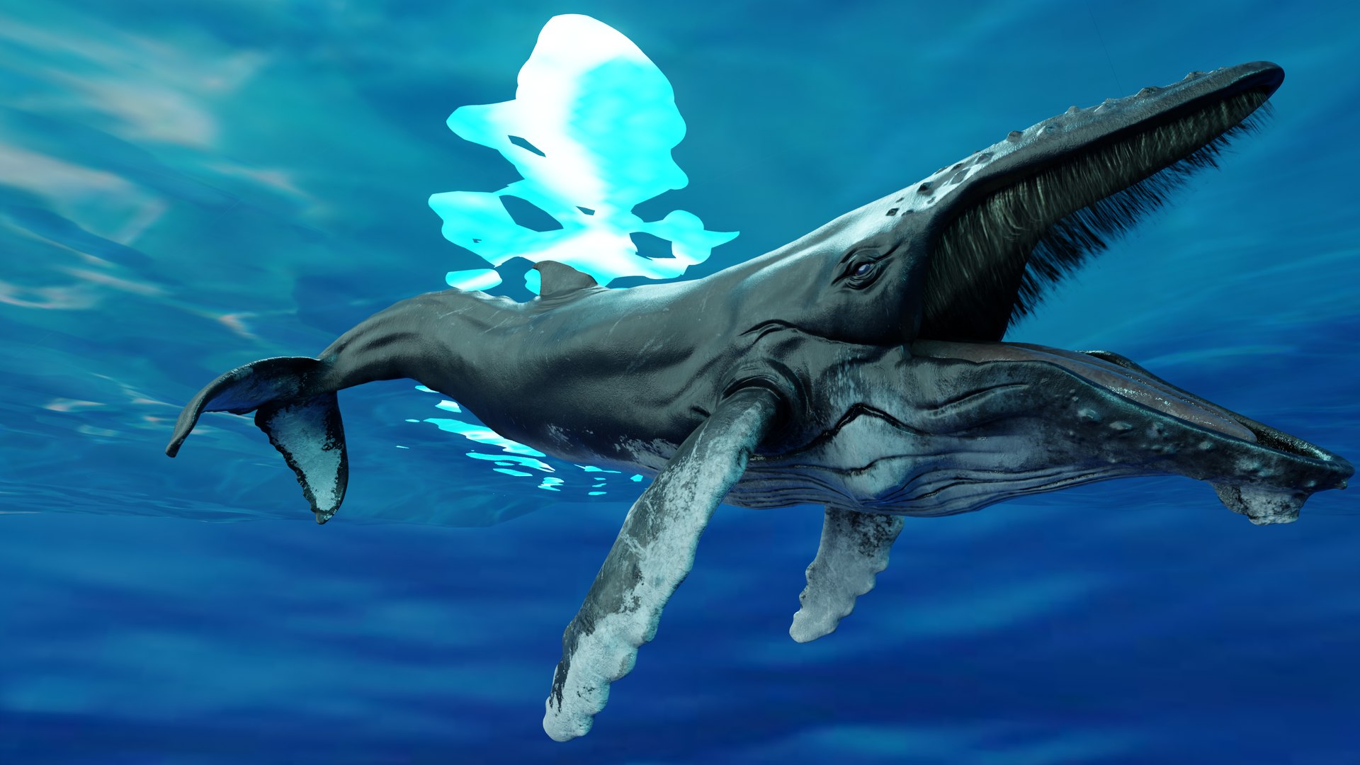 Humpback Whale Animated RE Model - TurboSquid 2003596