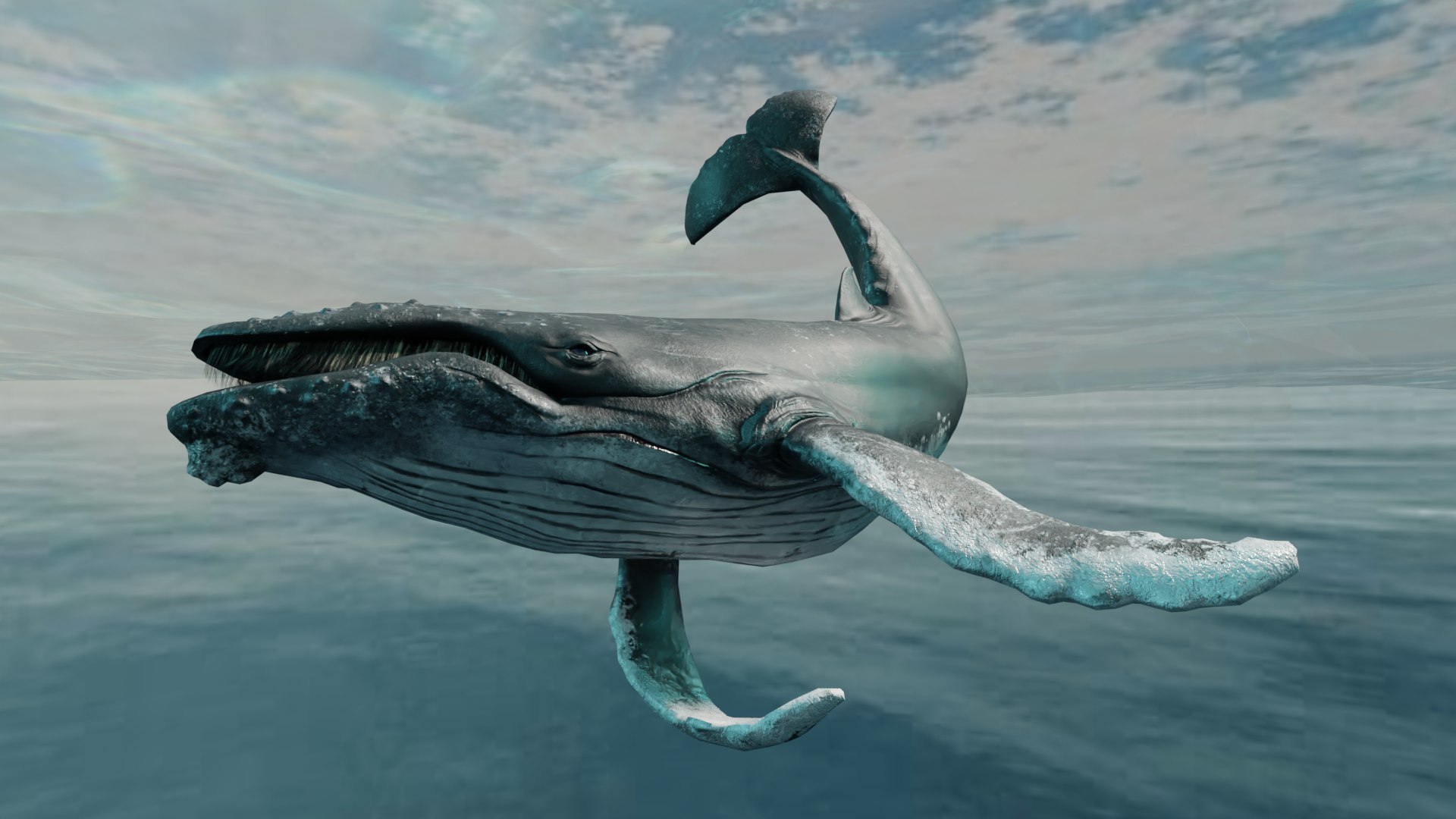 Humpback Whale Animated RE Model - TurboSquid 2003596