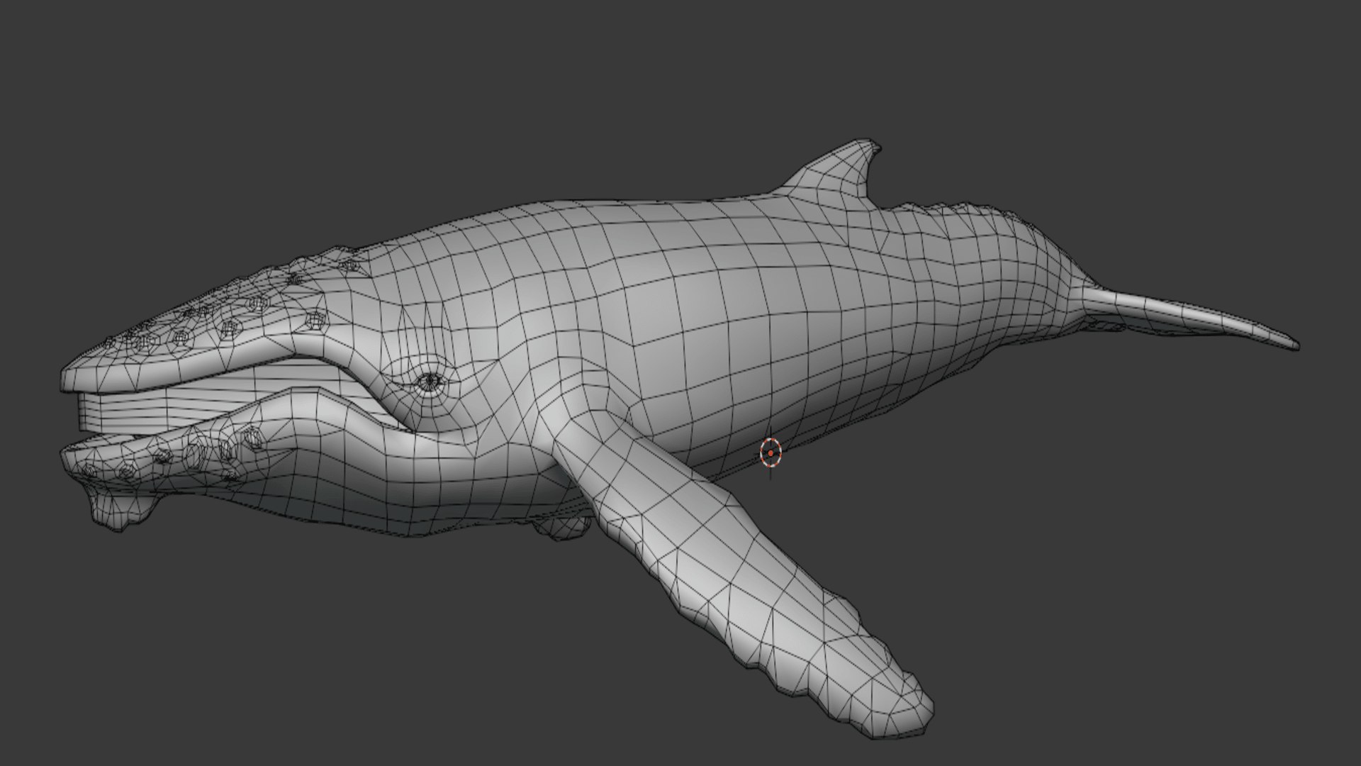 Humpback Whale Animated RE Model - TurboSquid 2003596