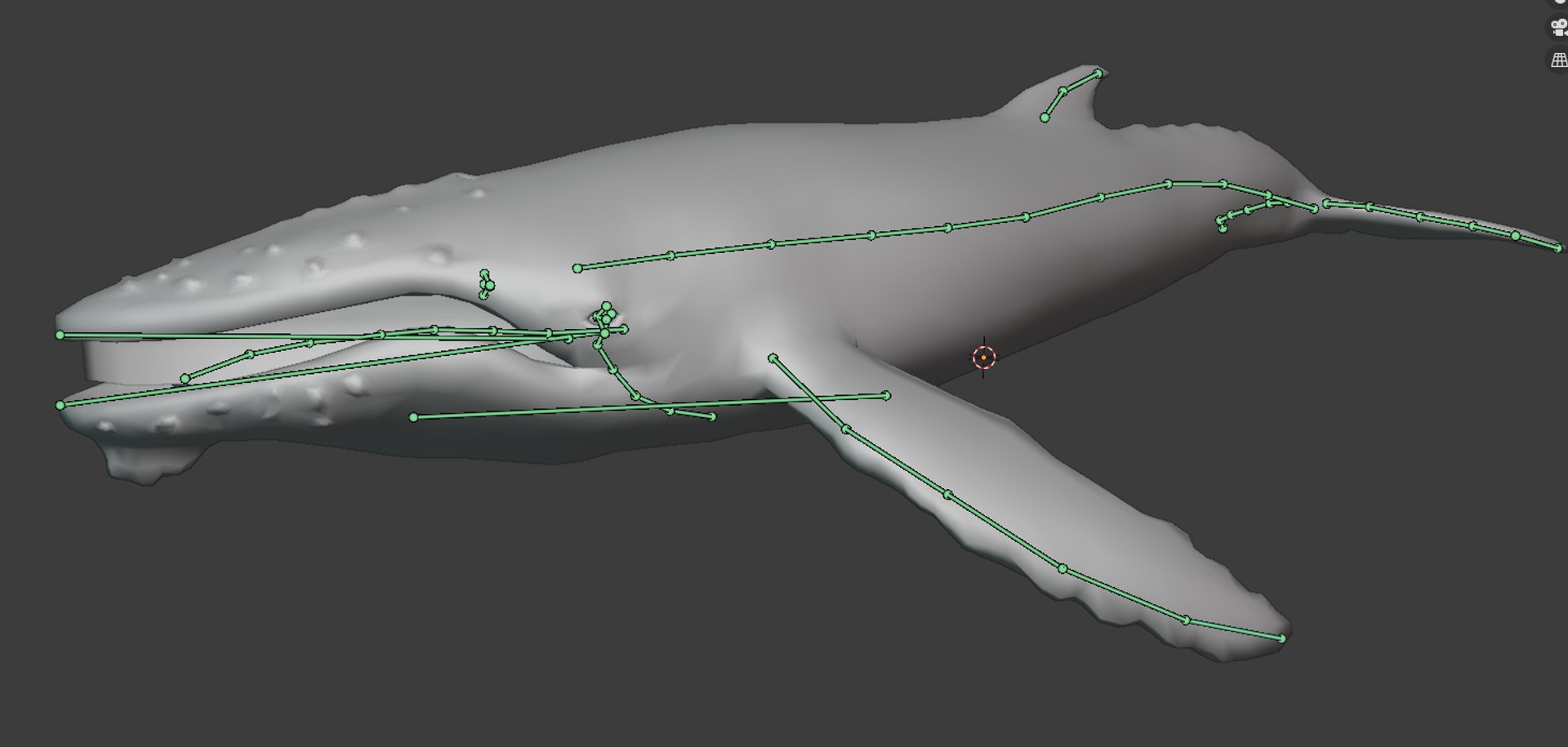 Humpback Whale Animated RE Model - TurboSquid 2003596