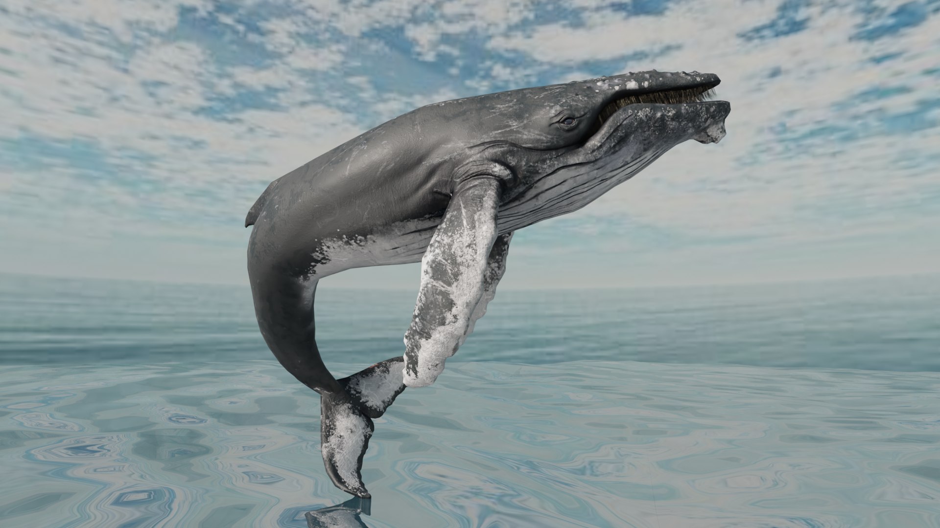 Humpback Whale Animated RE Model - TurboSquid 2003596