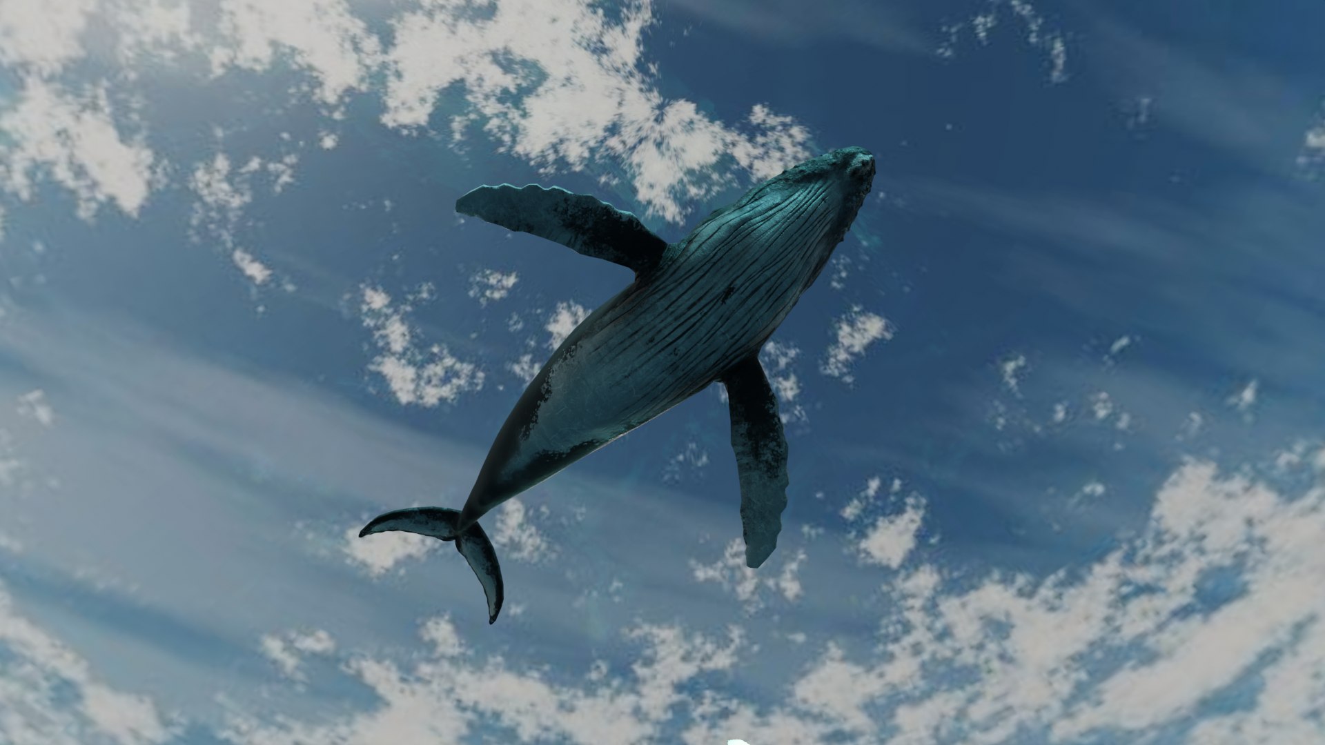 Humpback Whale Animated RE Model - TurboSquid 2003596