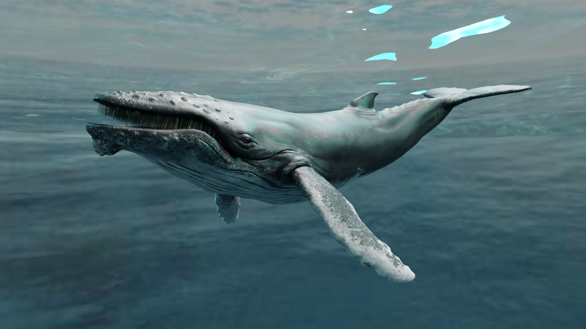 Humpback Whale Animated RE Model - TurboSquid 2003596