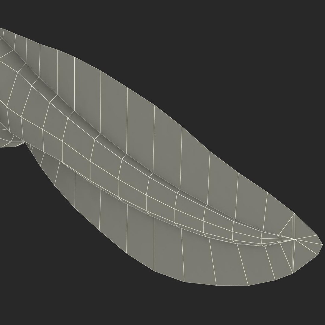 Frog Tadpole 2 3d Model