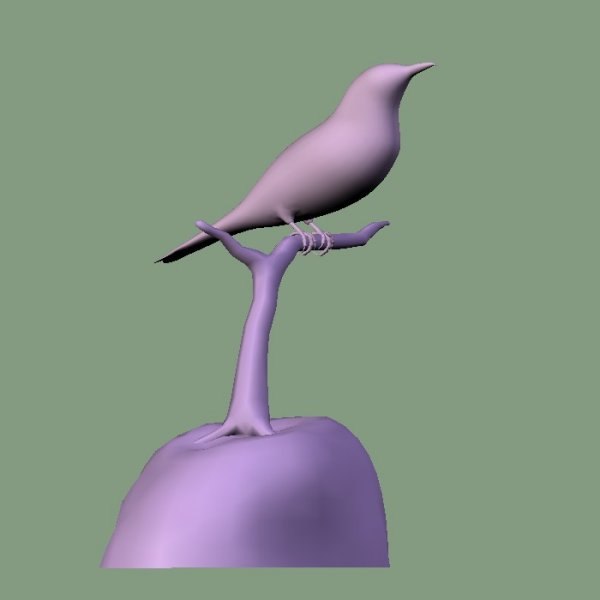 3d northern mockingbird birds ab