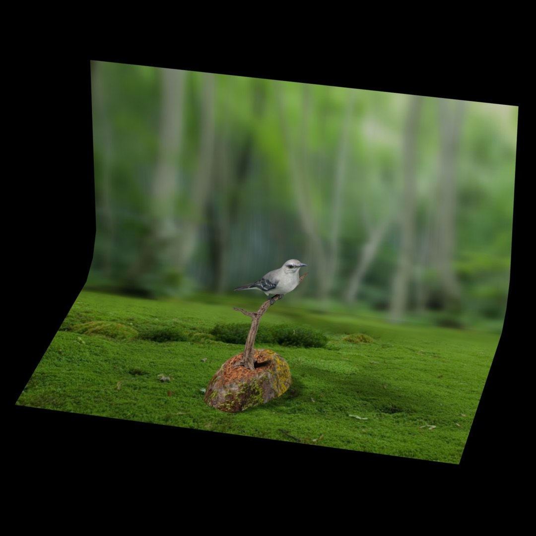 3d Northern Mockingbird Birds Ab