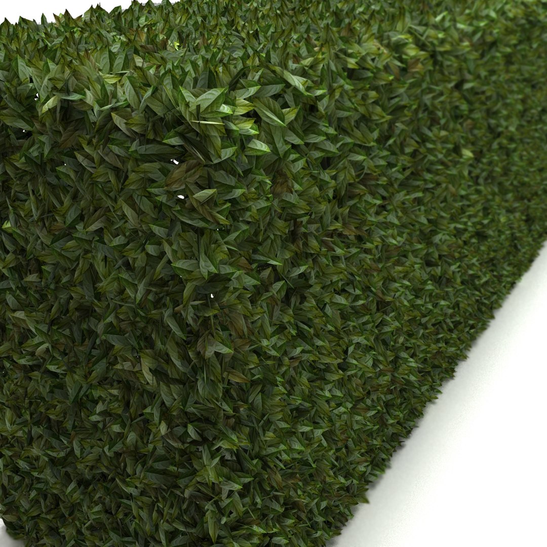 Garden Hedge 3d Max