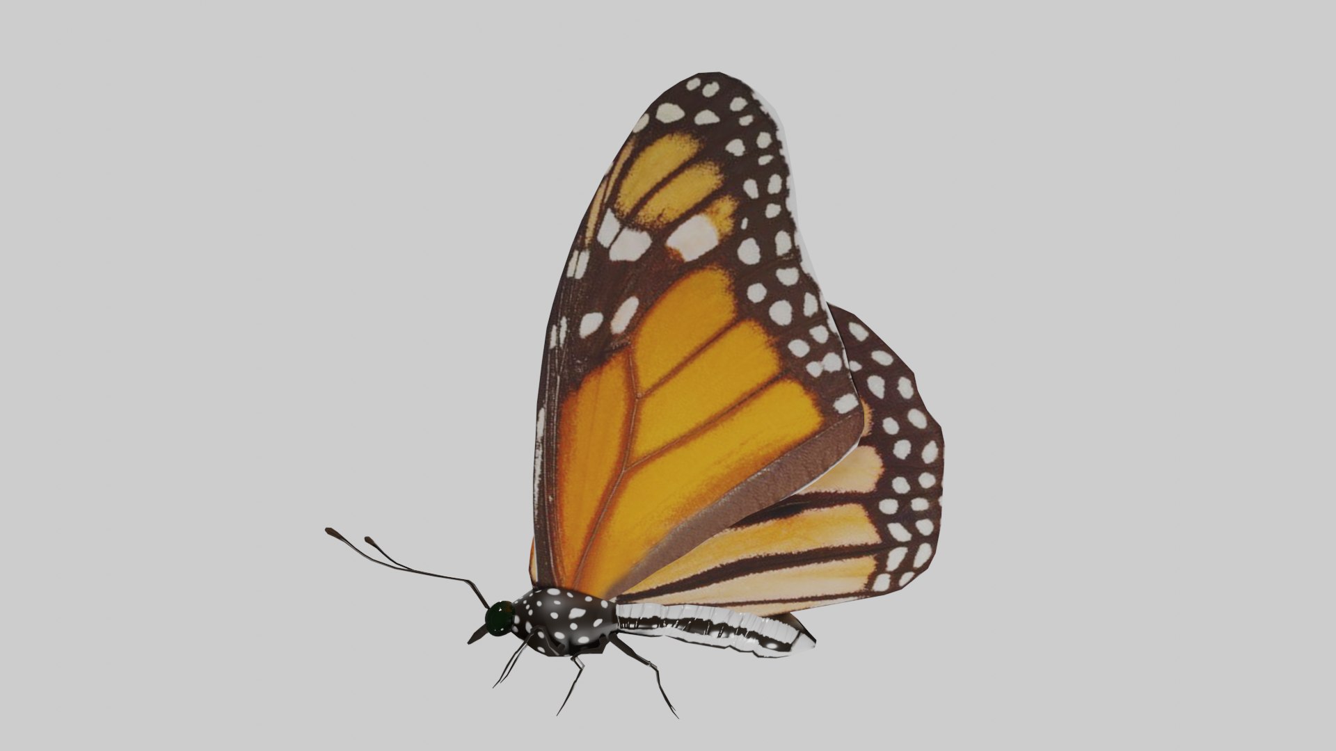 Butterfly Monarch 3D model - TurboSquid 1795840