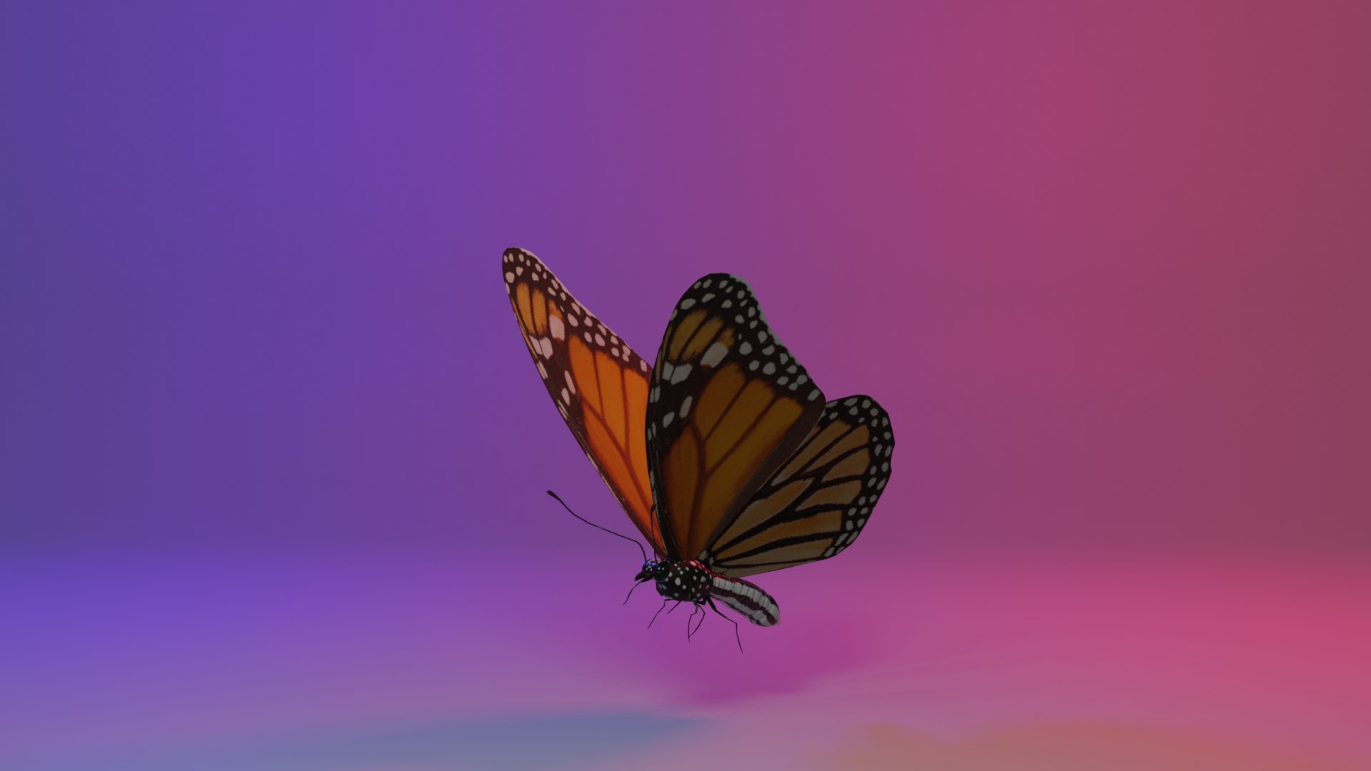 Butterfly Monarch 3D model - TurboSquid 1795840
