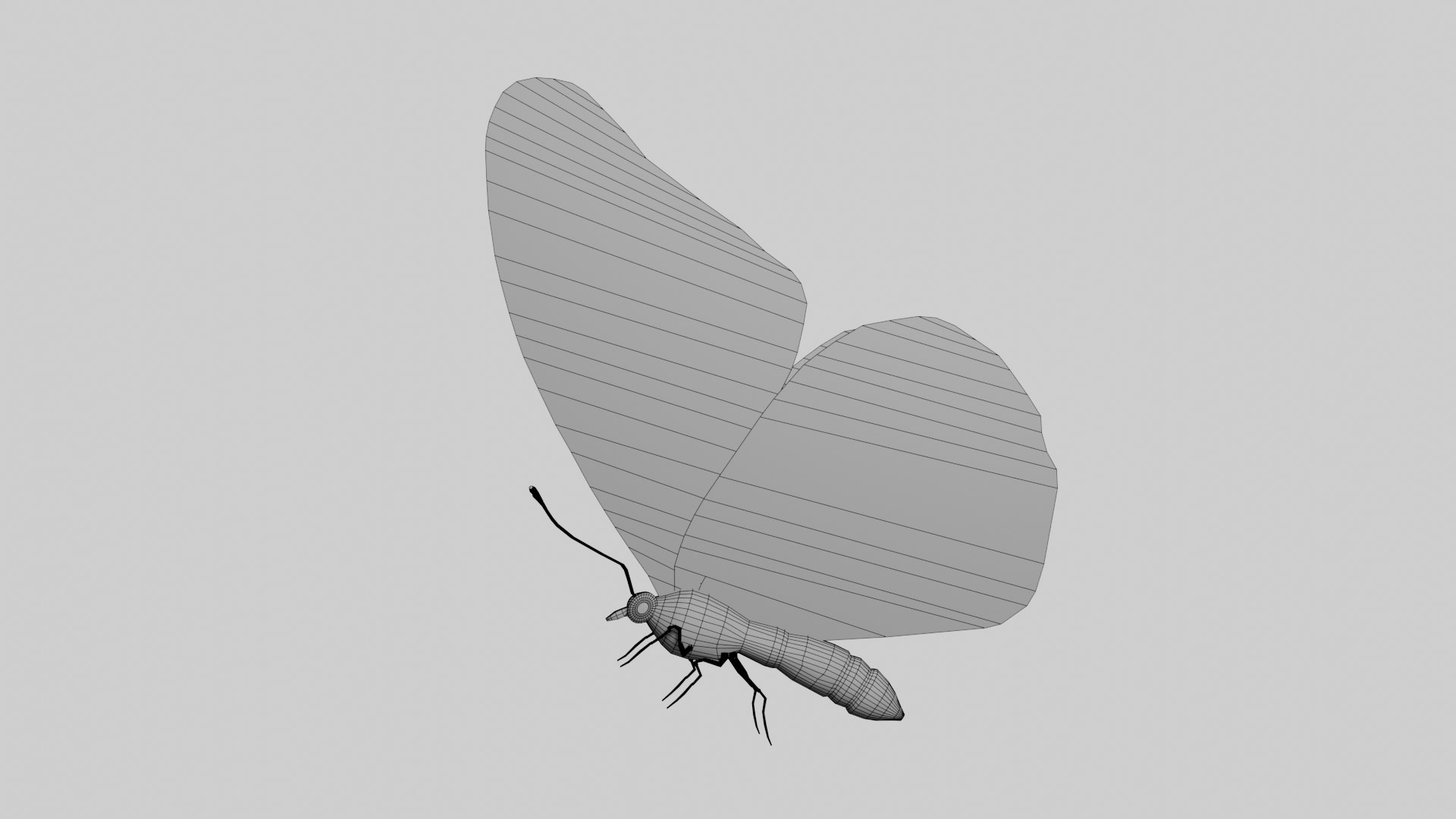 Butterfly Monarch 3D model - TurboSquid 1795840