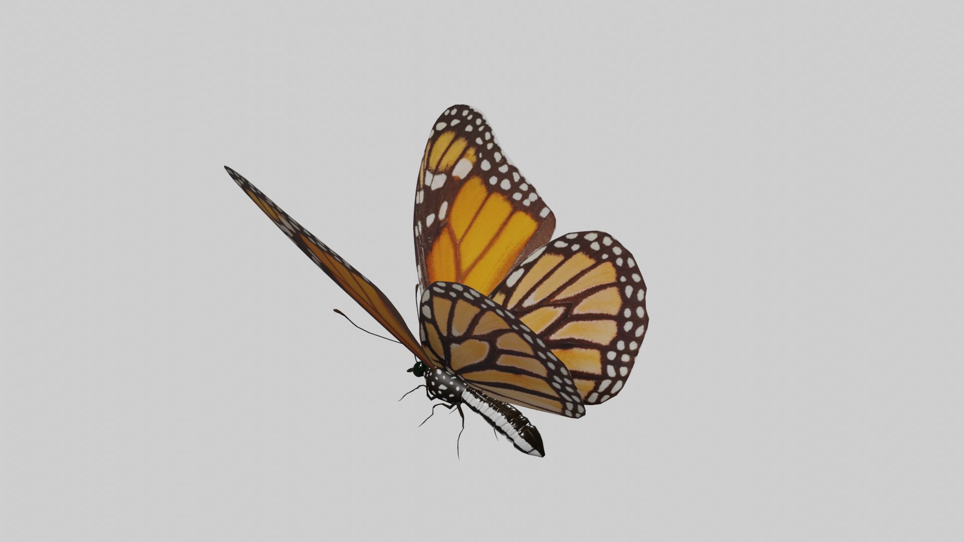 Butterfly Monarch 3D model - TurboSquid 1795840