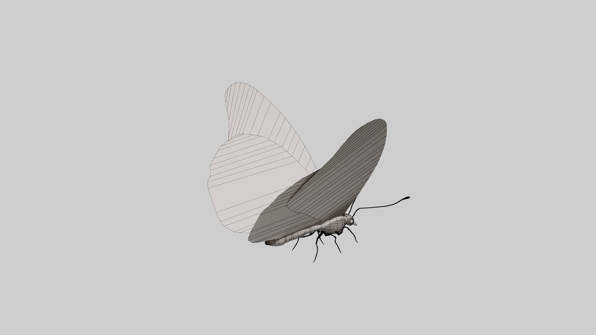 Butterfly Monarch 3D model - TurboSquid 1795840