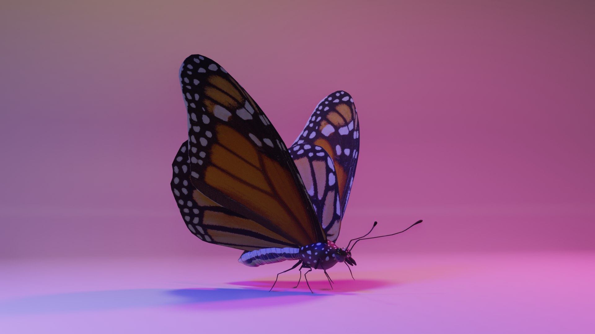 Butterfly Monarch 3D model - TurboSquid 1795840