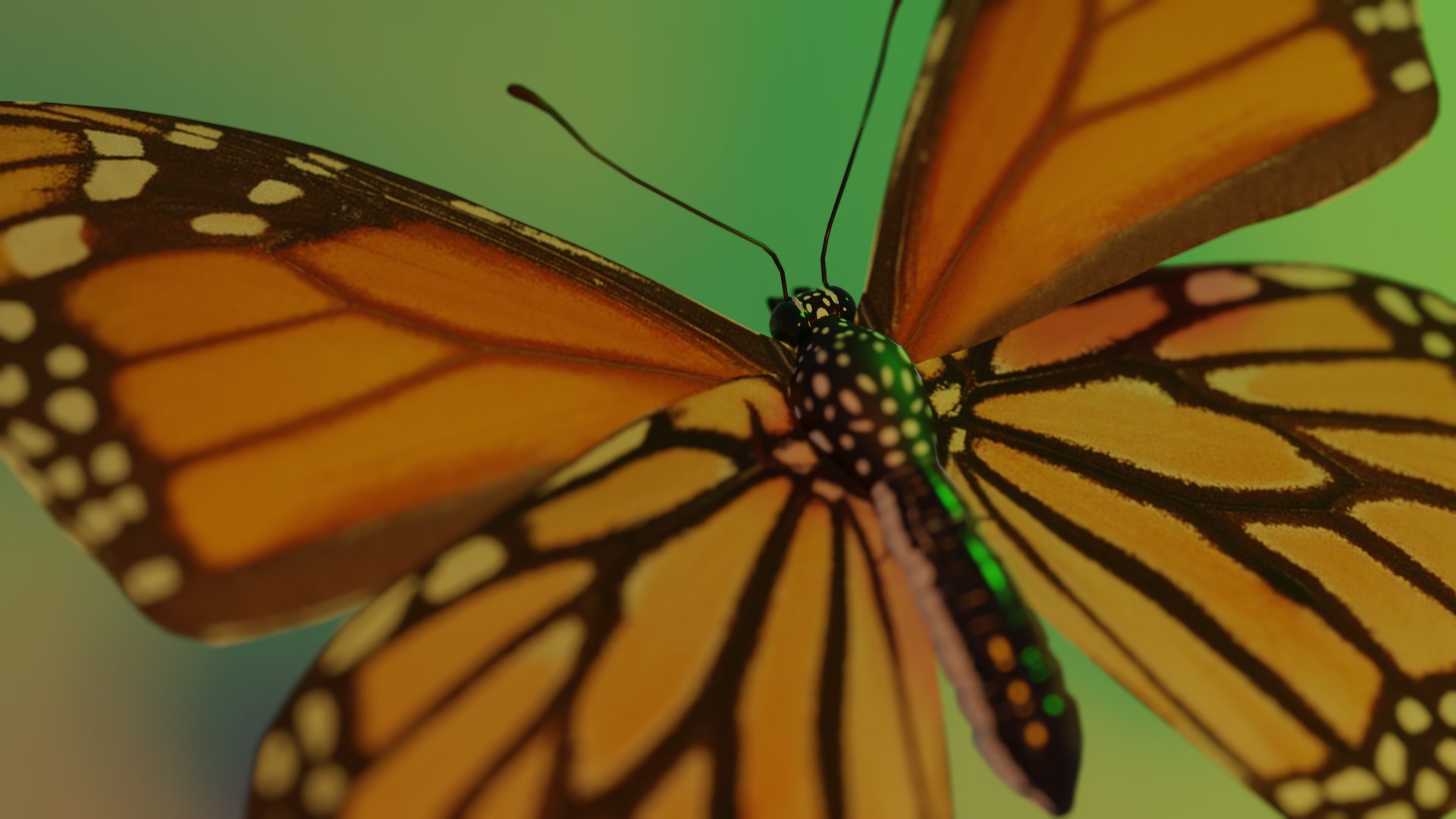 Butterfly Monarch 3D model - TurboSquid 1795840