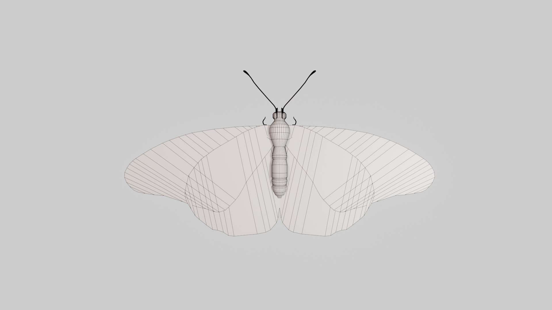 Butterfly Monarch 3D model - TurboSquid 1795840