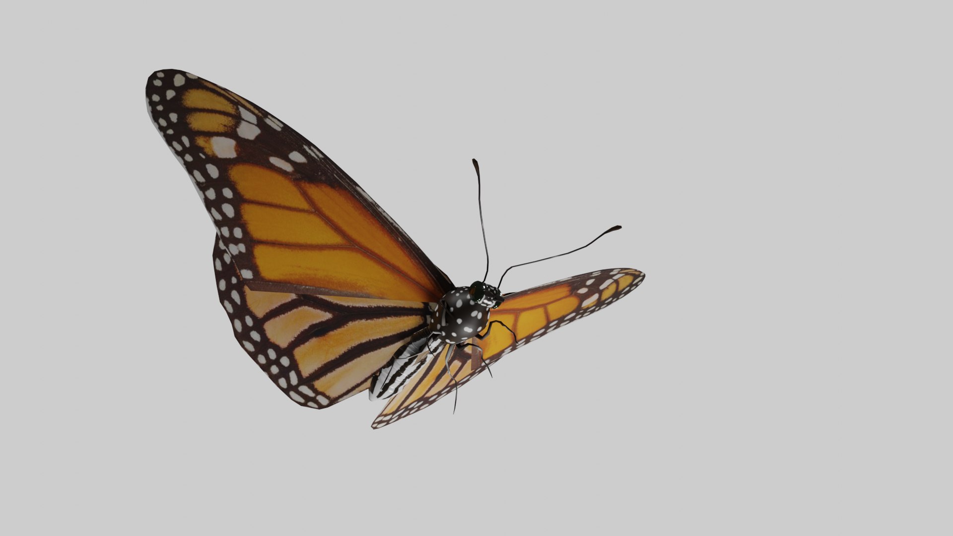 Butterfly Monarch 3D model - TurboSquid 1795840