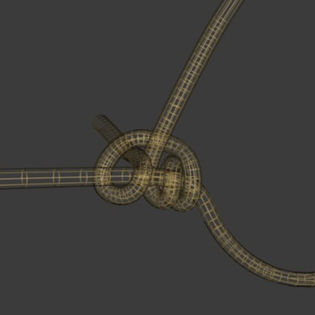 3d 10 Knots Model