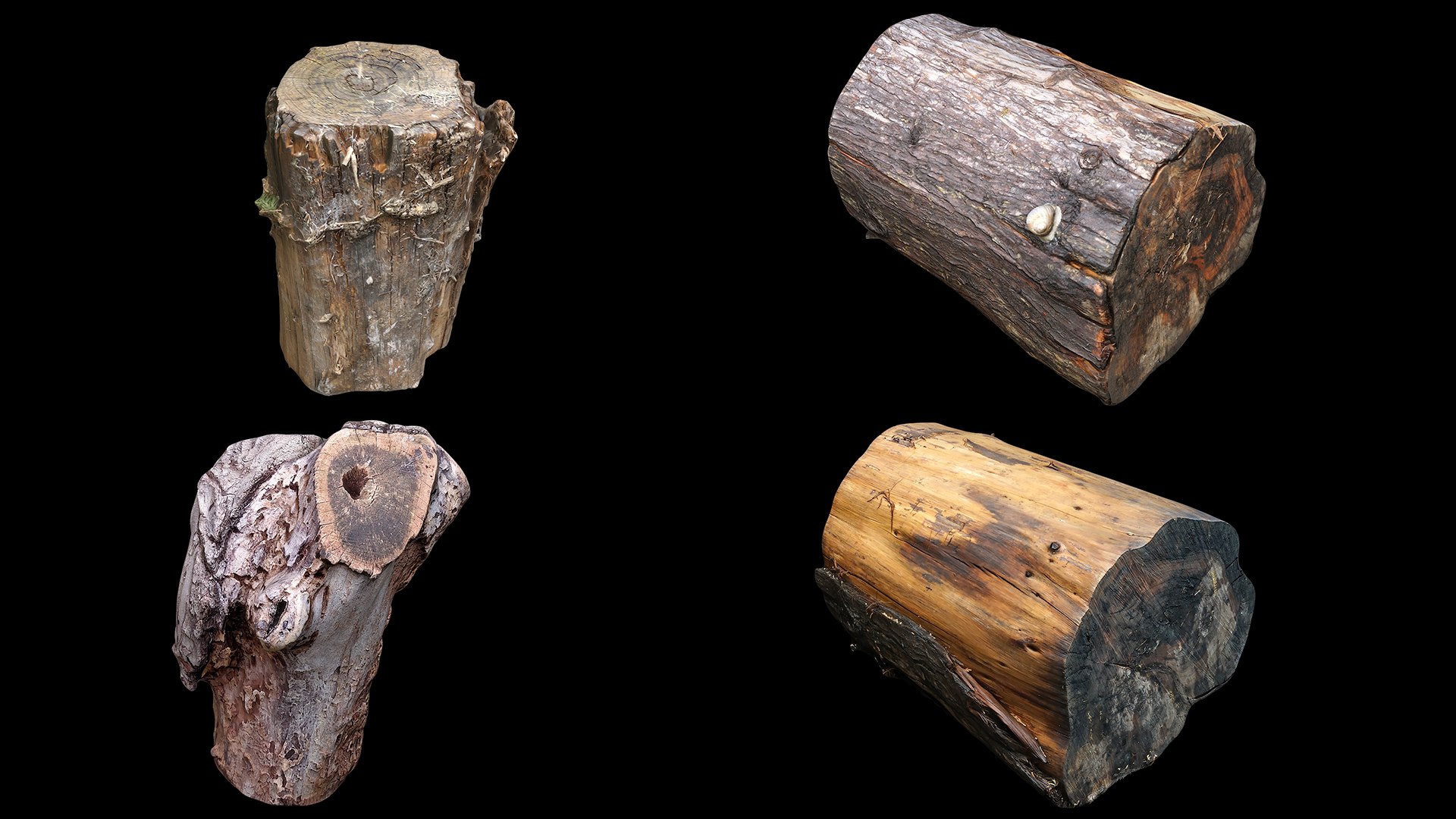Tree Stump Collection 13 3D - TurboSquid 2103059