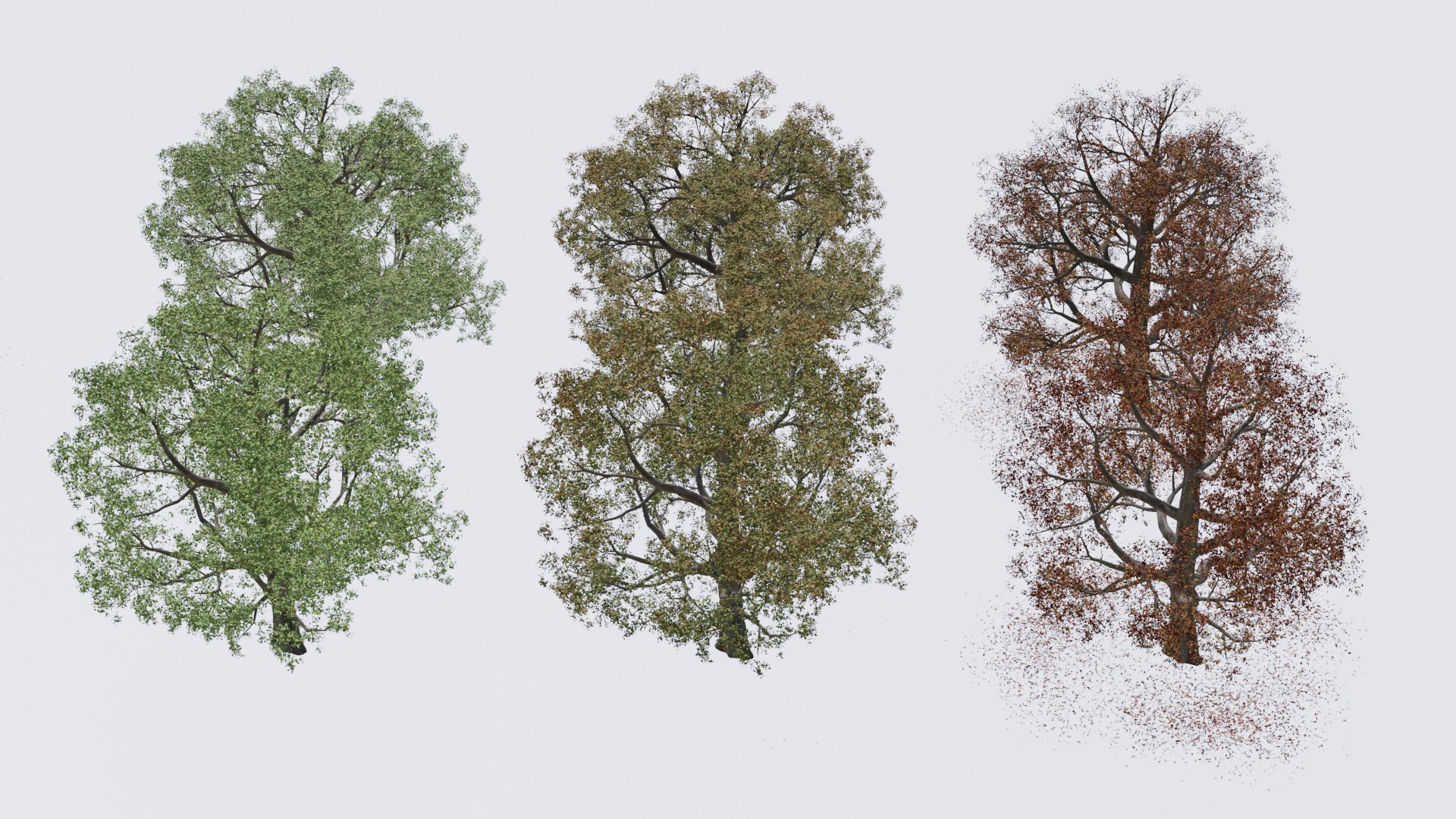 Seasonal Pack Of Trees 3D Model Model - TurboSquid 1805386