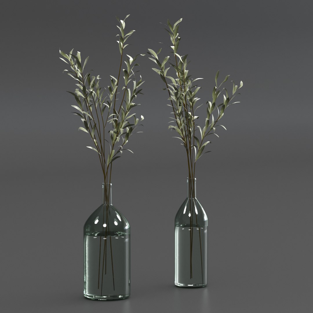 3D Bouquet Olive Branch Model - TurboSquid 1642134