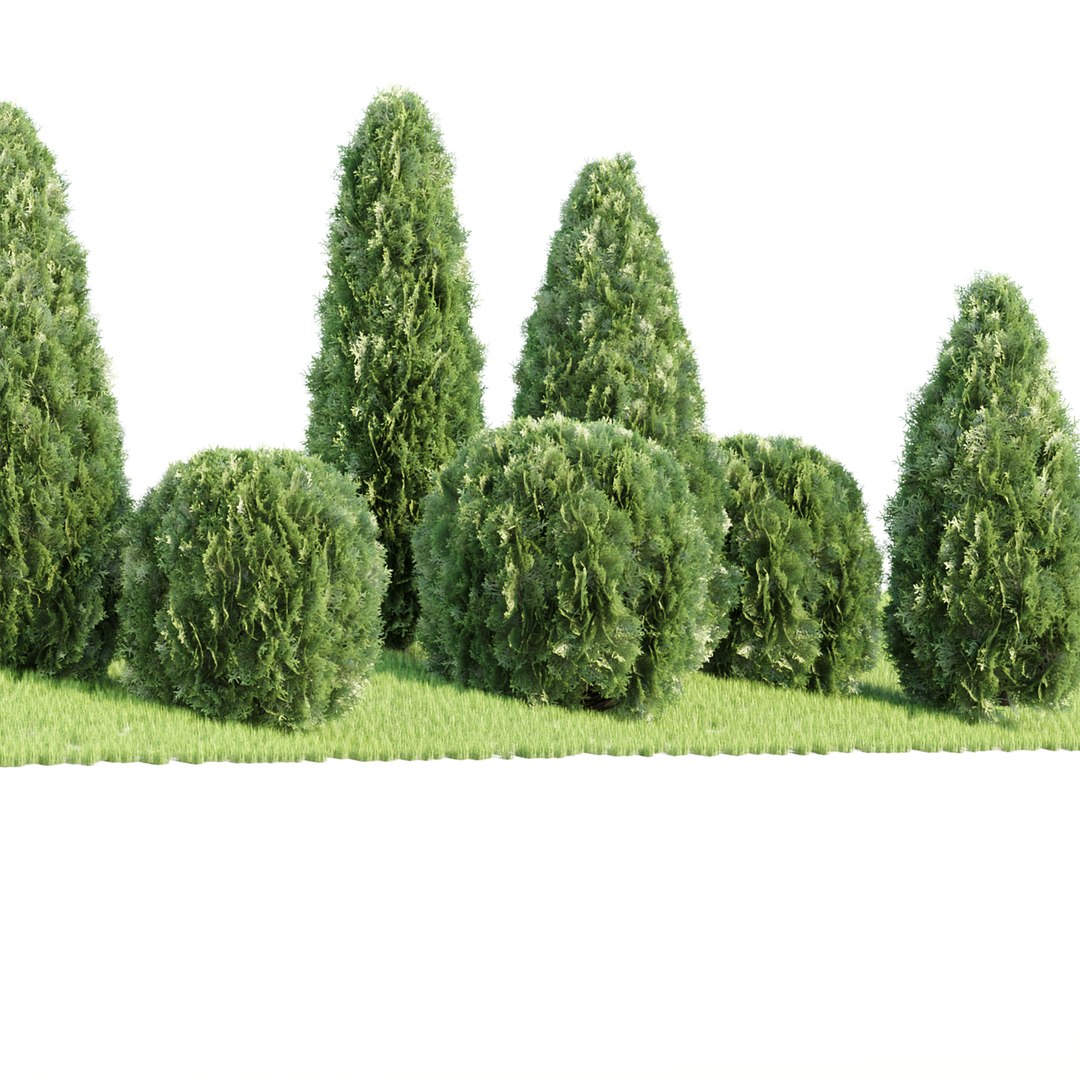 3D Thuja Smaragd Collection vol 138 - TurboSquid 1982408