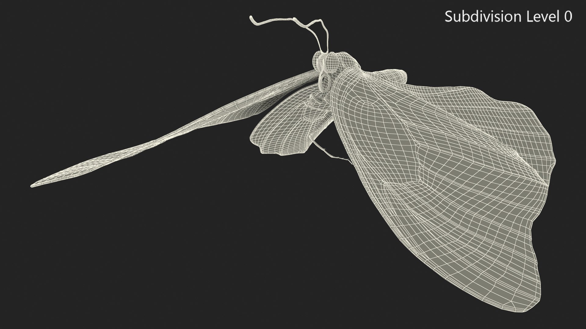 3D Animated Papilio Butterfly Flapping Wings Rigged model - TurboSquid ...