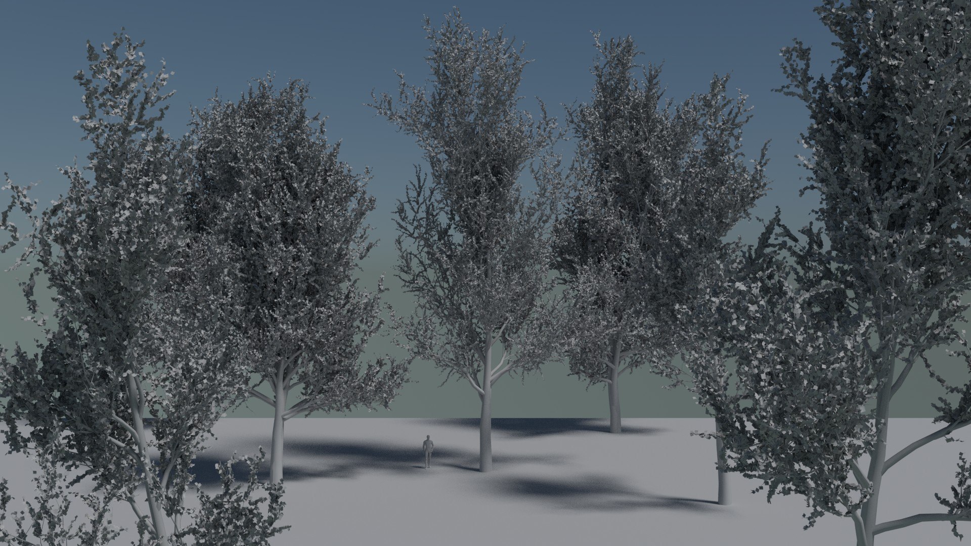 3d Model Of Elm Tree Pack