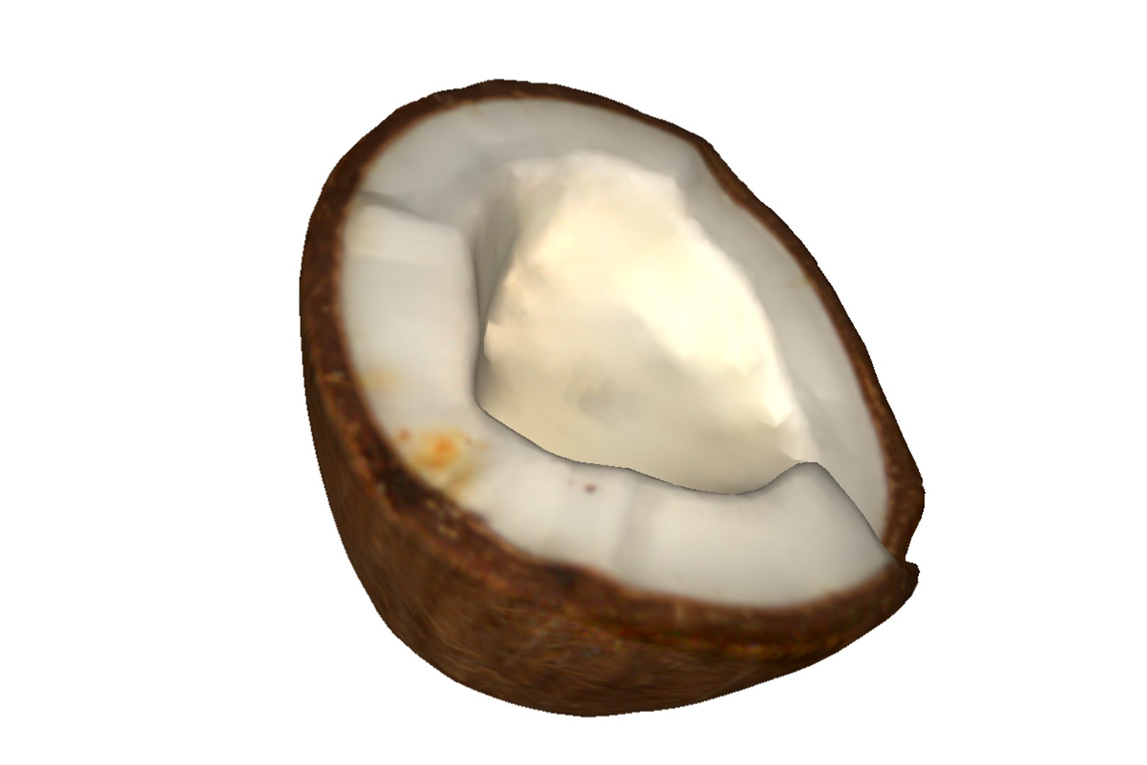 3D Half Coconut - TurboSquid 1588115