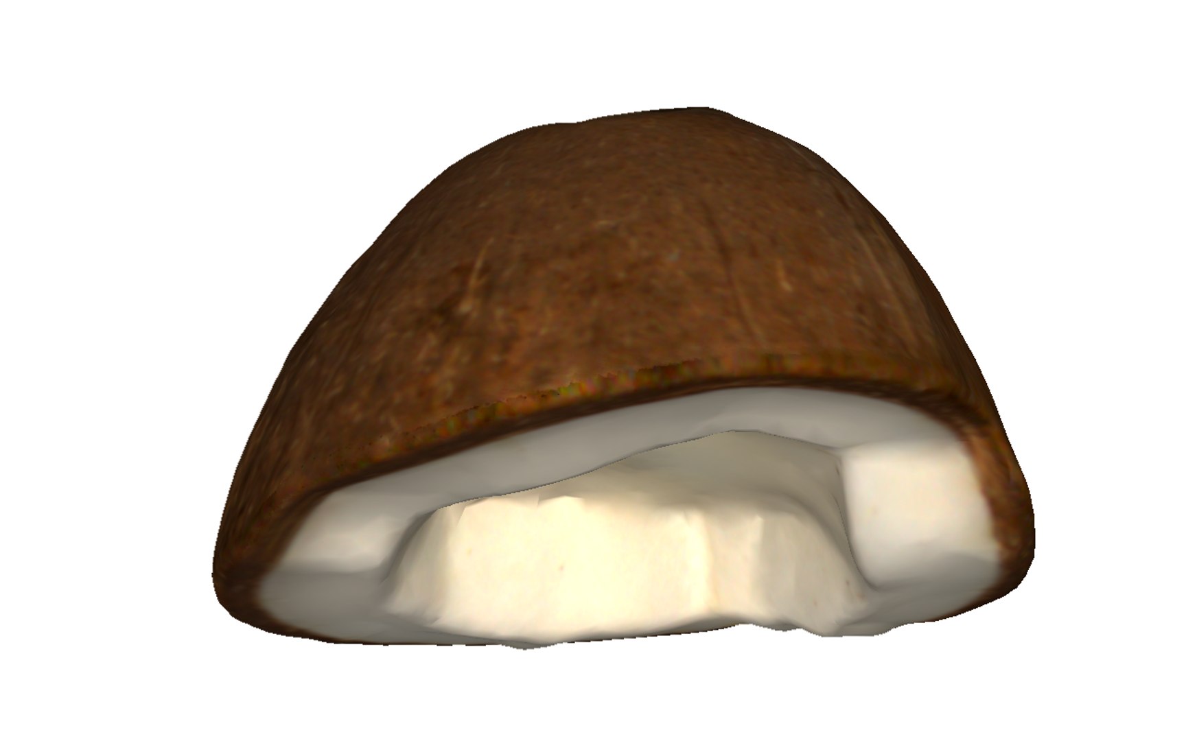 3D Half Coconut - TurboSquid 1588115