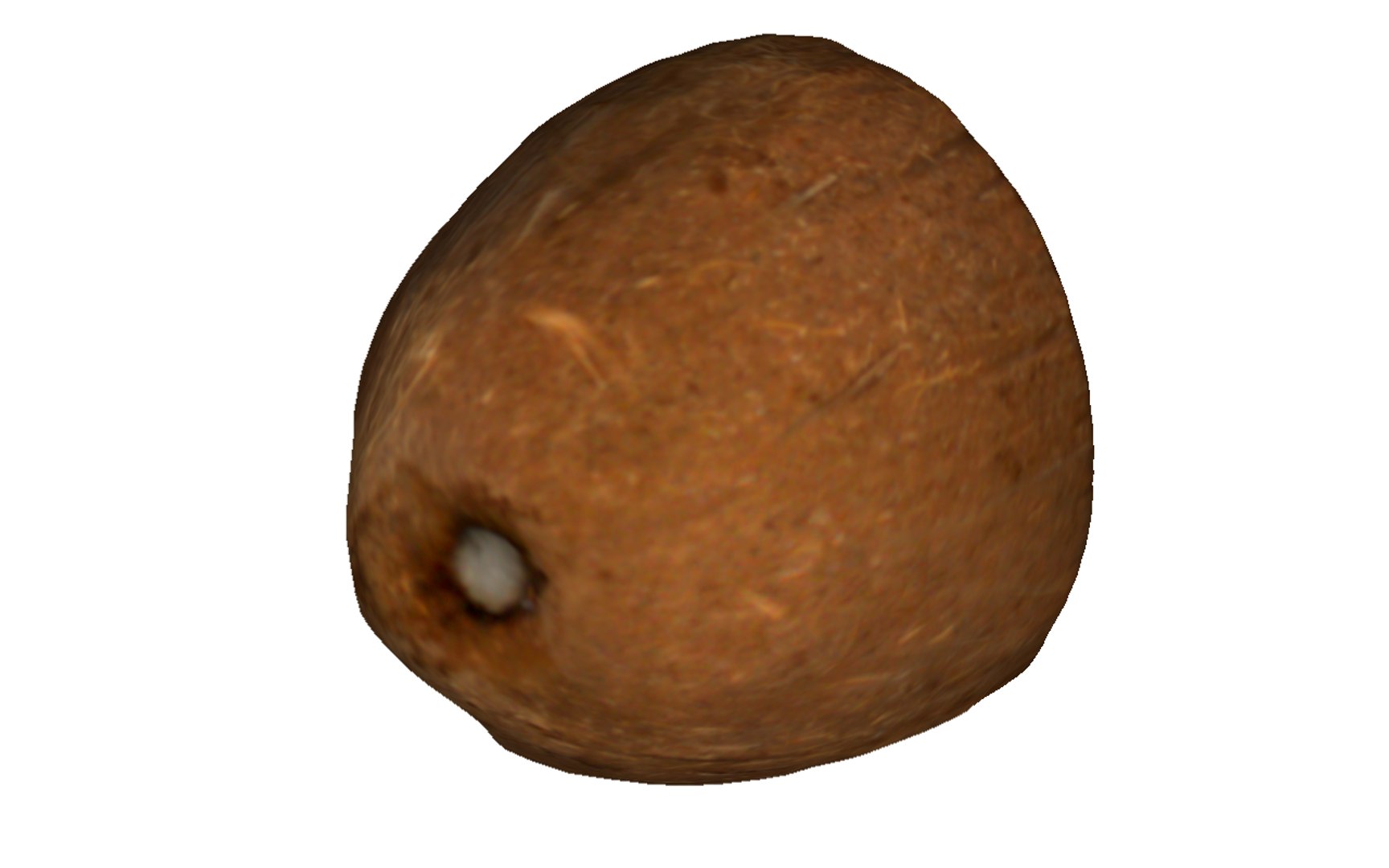 3D Half Coconut - TurboSquid 1588115