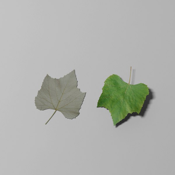 nature leaf 3d max