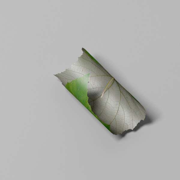 nature leaf 3d max
