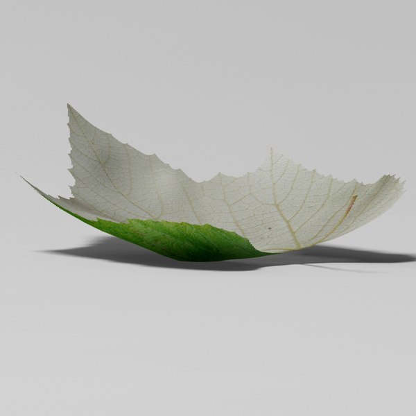 nature leaf 3d max
