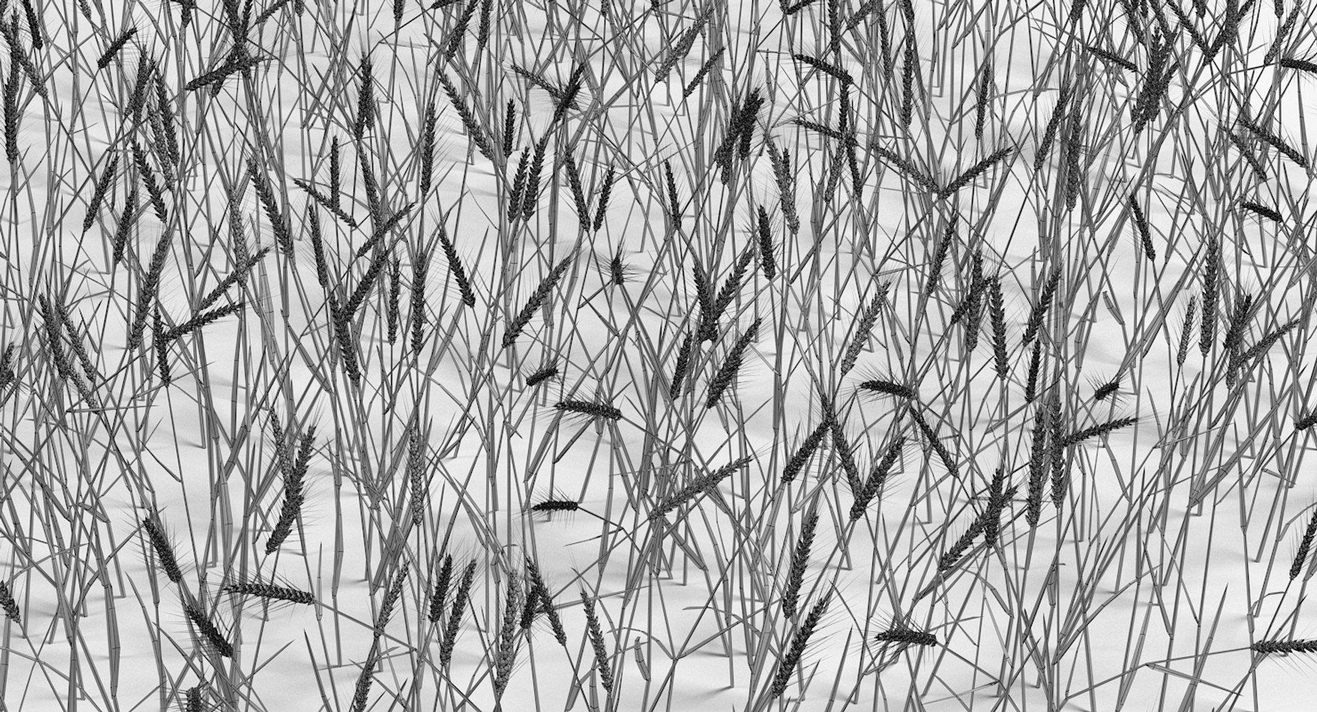 Wheat Grass Static Grass Wheat Field... | Model Railroad Hobbyist ...