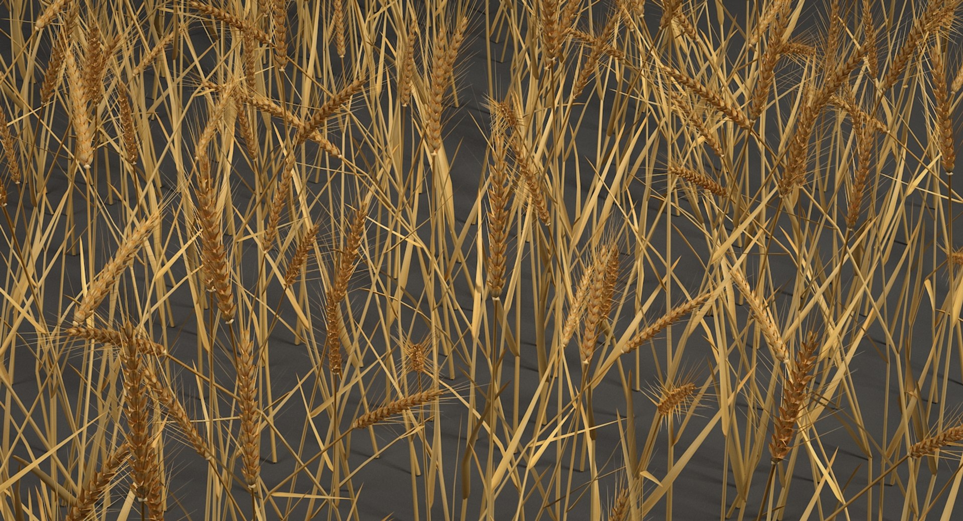 Wheat field model - TurboSquid 1289617