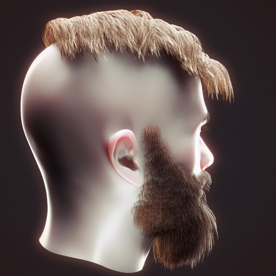 3D Head Hair Kit 2 Model - TurboSquid 1512132
