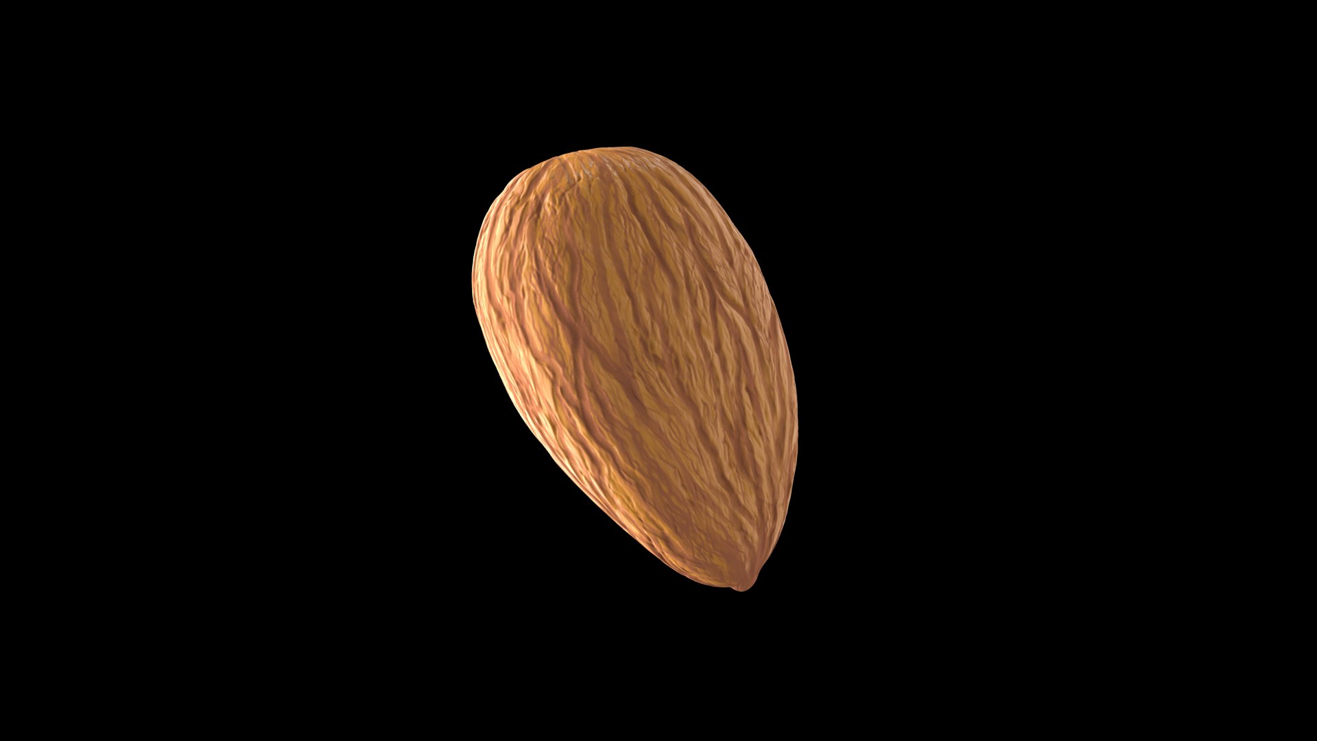 3D Almond Details - TurboSquid 1493126