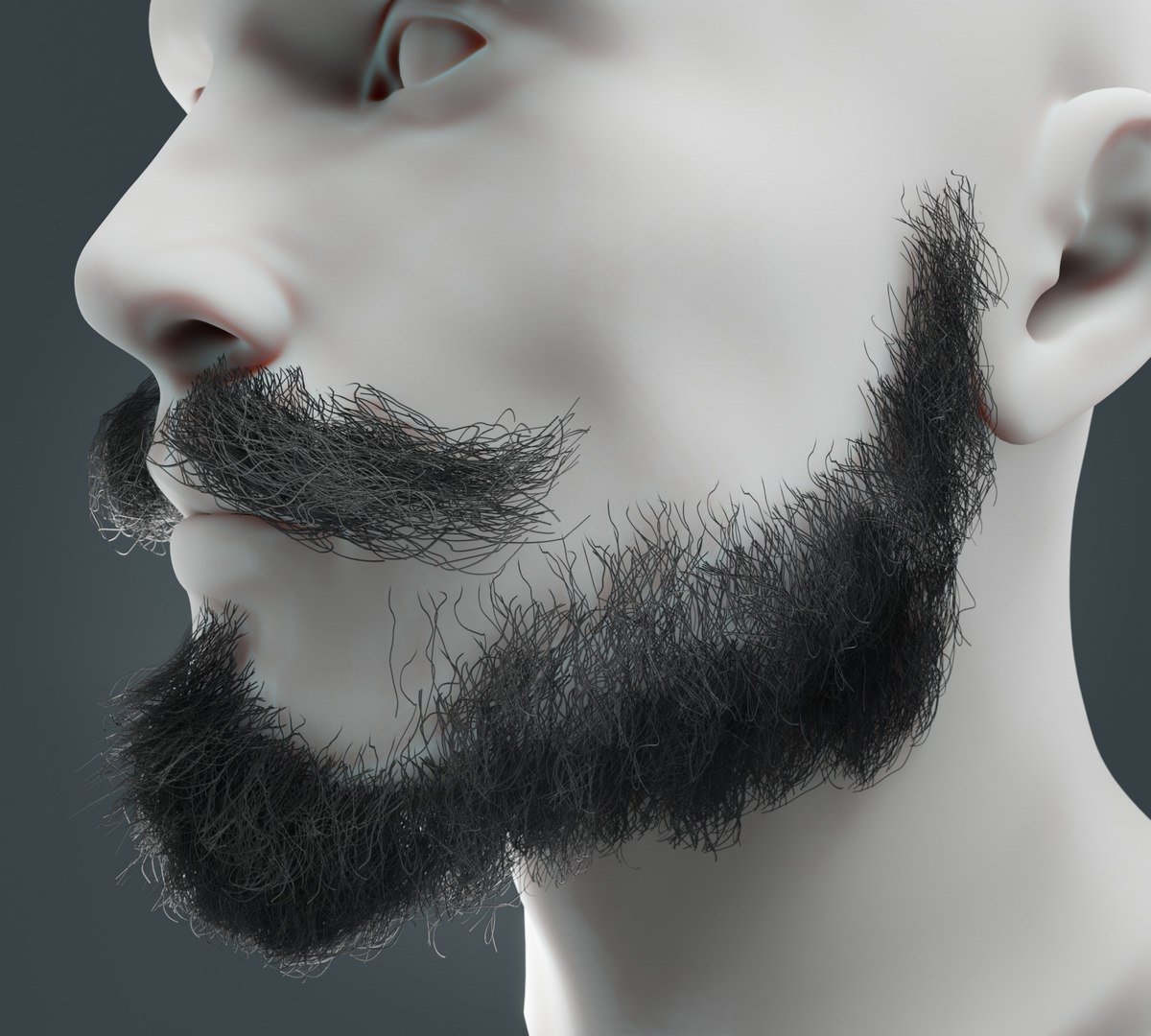 Beard RealTime 7 Version 2 3D Model - TurboSquid 1892346