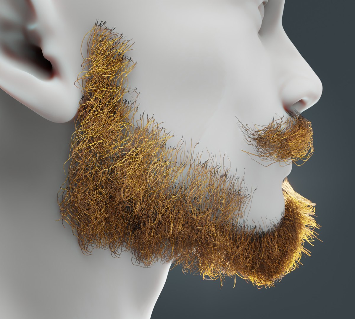 Beard RealTime 7 Version 2 3D Model - TurboSquid 1892346