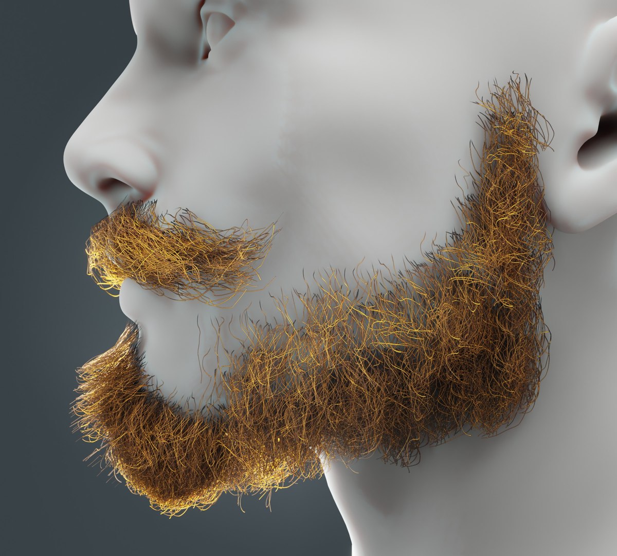 Beard RealTime 7 Version 2 3D Model - TurboSquid 1892346